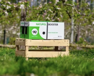 COPEVAL - Smartcherry